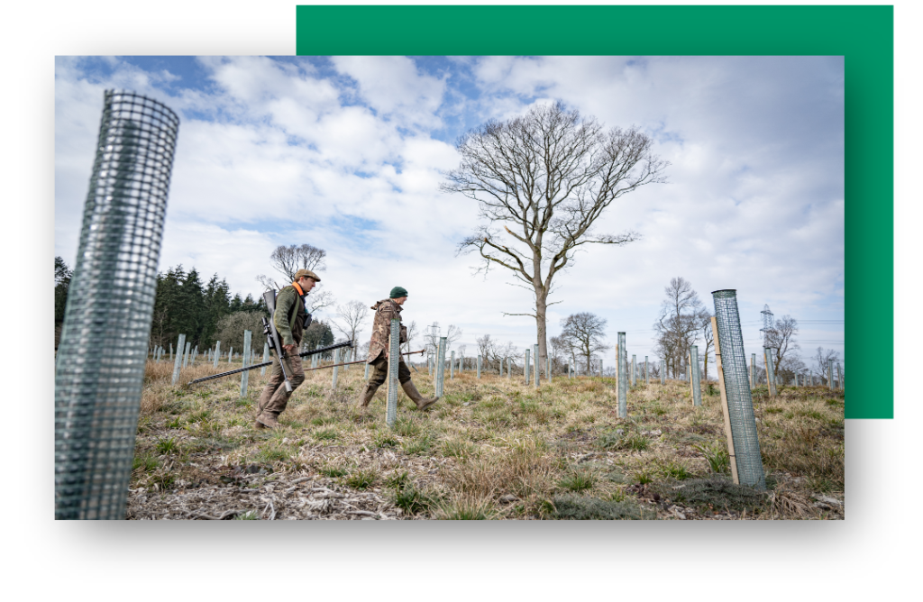 The Deer Initiative | Culling deer