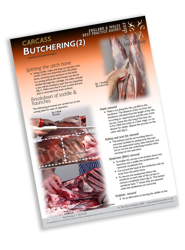 The Deer Initiative | Meat Hygiene