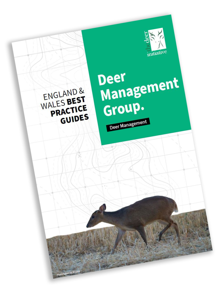 The Deer Initiative | Deer Management